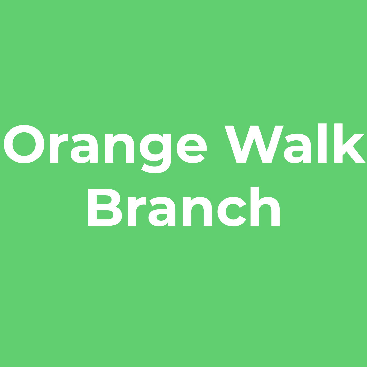 Branches – BNTU